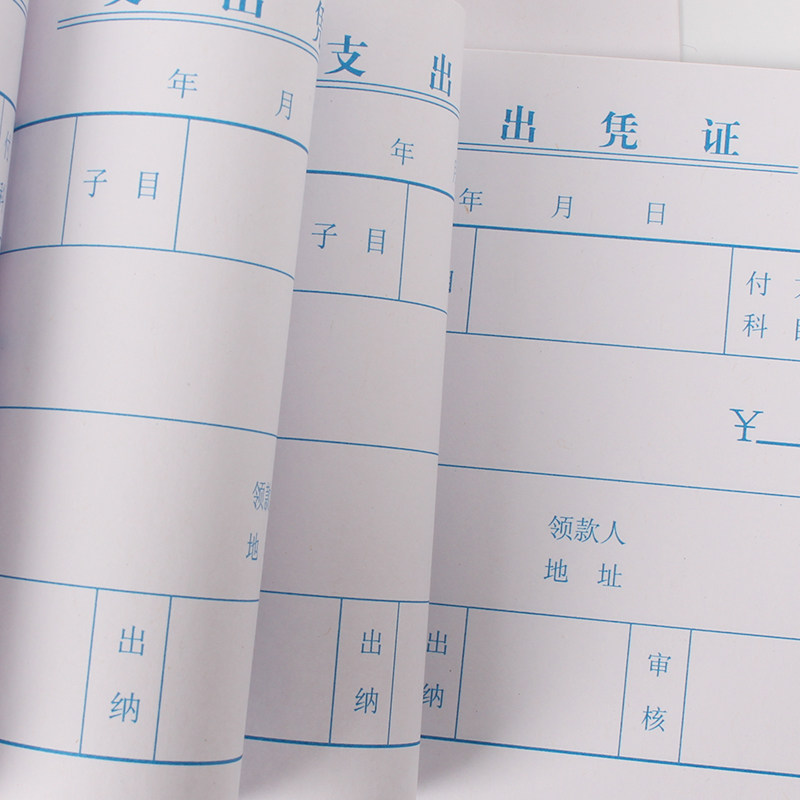 支出凭单 单据 凭证 支出证明 支出单据 财务用品 支出单