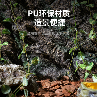 升级SuperRep爬宠立体造景背景板爬虫饲养缸饲养盒箱雨林缸仿岩石