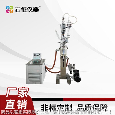 2L家反应釜应装 酮苯脱蜡实YZ系列置验反釜  厂直销 规格齐全
