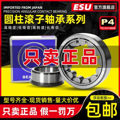 进口NSK NU202 203 204 205 206 207 208 209EW EMC3圆柱滚子轴承