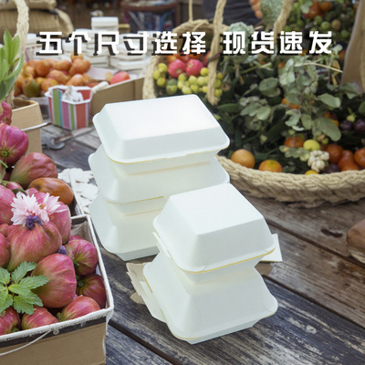 一次性可降解汉堡盒甜品打包蛋糕