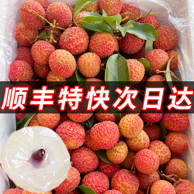 桂味荔枝新鲜现摘现发广东仙妃子进奉笑贵妃水果大礼盒10斤整箱西