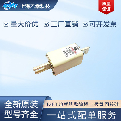 巴斯曼熔断器170M3062-3066