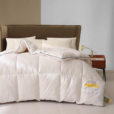 20JKT色25新款纯单亲双边级大豆被被子被芯手感顺滑肤升面料质地