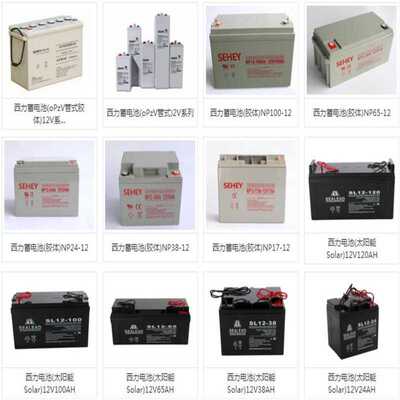 SEHEY西力铅酸蓄电池NPG17-12 24AH 38AH 40AH 65AH 100AH 120AH