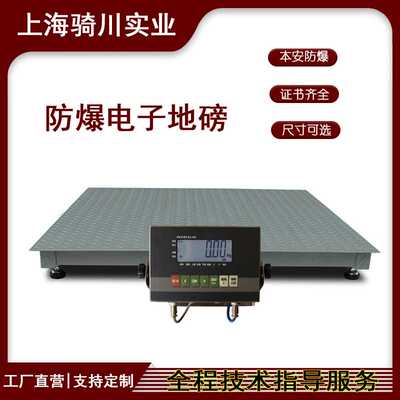 XK3150-Exd隔爆型电子地磅 1000kg防爆平台秤 ExdIIBT6等级地秤