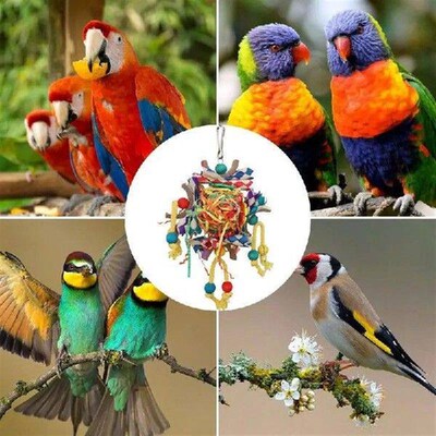 Bird Cage Toys Parakeet Chew Toys With Colorful Ball Bird