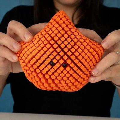Fidget Toy Flexible Desk Decor 3D Printed Articulated Starfi