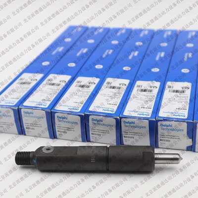 DELPHI德尔福B03101 2645A060喷油器