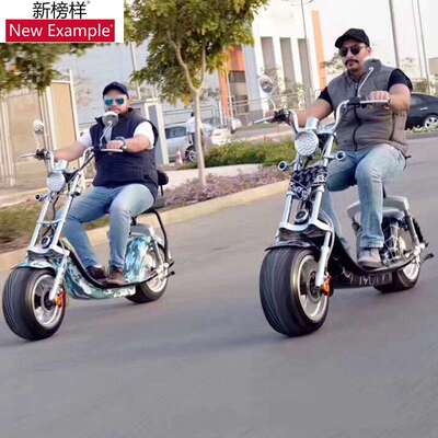新款太子哈雷车2019 new harley citycoco motorcycle scooters