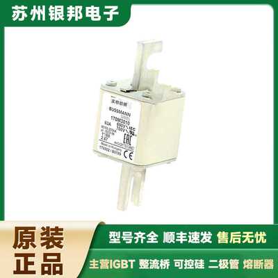 供应全新 170M3975 170M3981 170M3982 低压快速熔断器