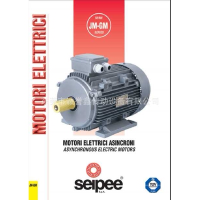 SEIPEE制动电机ZKF80B4/0.75KWB5 意大利SEIPEE马达