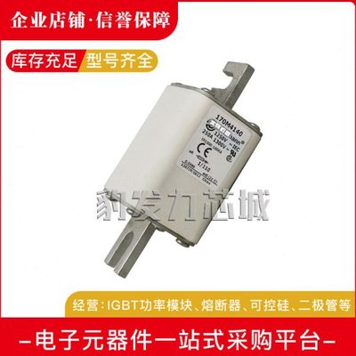 170M4138/4139/4140/4141/4142/414/4144/4145/4146/4147熔断器