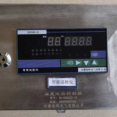 温度巡检控制箱XH-KXG222-10