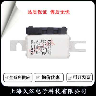 170M3238 170M3239 170M3240 170M3241 170M3242 BUSSMANN 熔断器