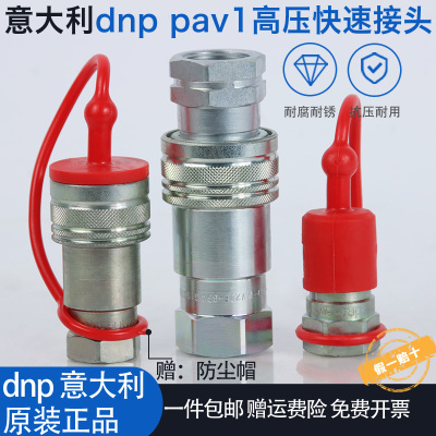 意大利DNP液压快速接头原装正品进口PAV1.1313油压高压双自封快插
