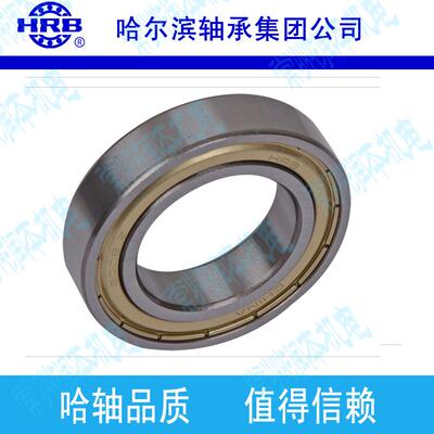 HRB 6019-2Z ZZ 80119 哈尔滨深沟球轴承 内径95mm 外径145mm