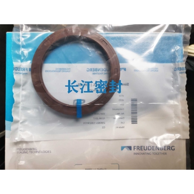 CFW 101 BABSL1 120-150-10-7.5 SIMMERRING DIN AS氟胶骨架油封