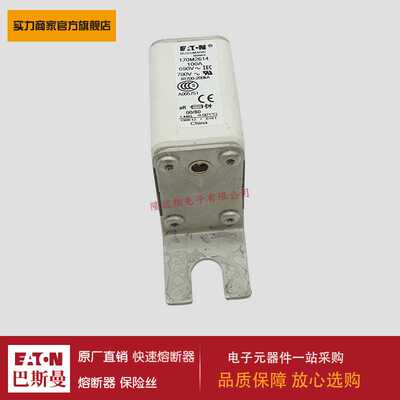 熔断器170M2758 170M2759 170M2760 170M2761 170M2762 170M2763