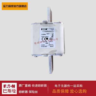 熔断器170M6879 170M6880 170M6881 170M6882 170M6883 170M6884