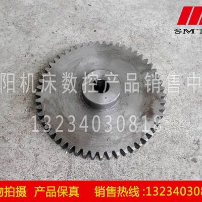 抚顺插床厂 B5032 机床配件 齿轮 电机齿轮 Z53 厂家直销