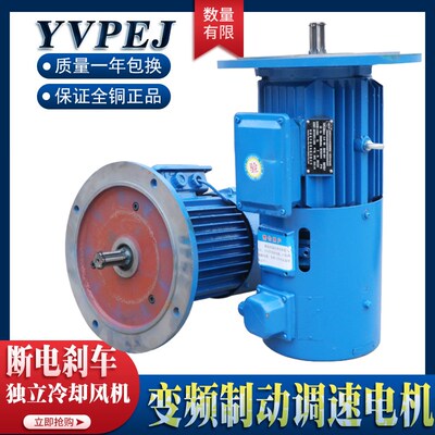 河南真牛电机YVPEJ100L2-4 3.0KW变频调速锥形转子三相异步铜线圈