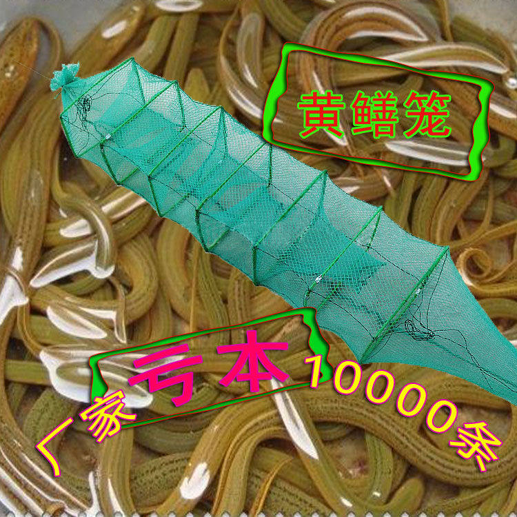 加密小虾笼虾笼 捕鱼笼 黄鳝笼 泥鳅笼 折叠螃蟹笼子