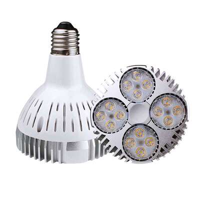 PAR30 35W天花射灯 LED轨道灯 室内 服装店 珠宝 照明灯具