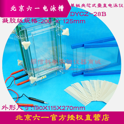 北京六一 单板夹芯式垂直仪槽 DYCZ-28B(大号)凝胶215*147mm