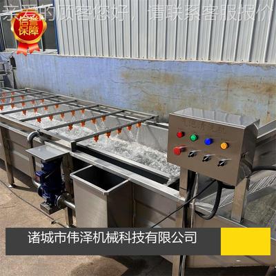 商用蔬菜气清洗机 泡全流自动蔬菜水清洗机 叶菜类净菜加 果GIL工