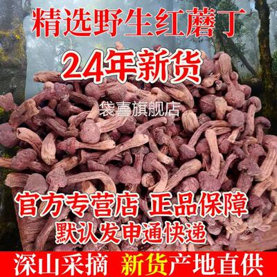 红蘑丁东北特产辽朝阳宁精品蘑菇自然晾晒干货肉蘑野生松树伞250g