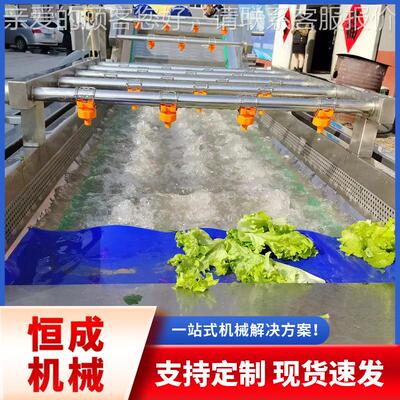 多LXU种蔬菜水果药材大型喷淋洗水大姜小龙虾高线压喷流淋清洗清