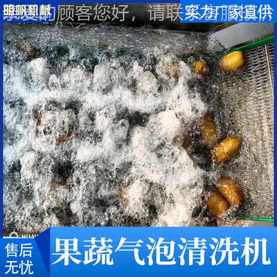 生姜高压喷淋菜清洗设备泡 洗毛肚气泡翻滚洗NPZ机 果蔬鲜气清海