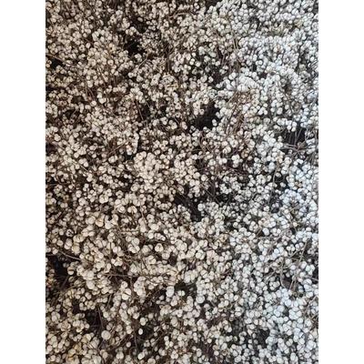 小白果乌桕果干花花束插花松树装饰树枝植物圣诞树北欧风花束干花