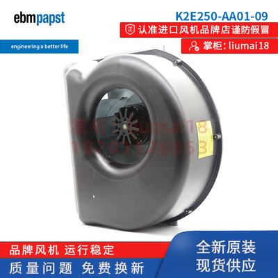 K2E250-AA01-09德国ebmpapst风扇