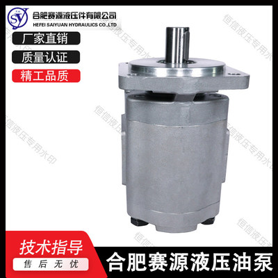 合肥赛源铝合金齿轮泵CB