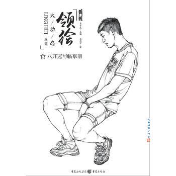 【正版书】 领绘—大动态 王靖宇 著 重庆出版社，重庆出版集团