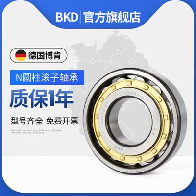 德国BKD圆柱滚子进口轴承N304 N305 N306 N307 EM P4 P5 铜保持架