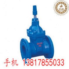 RVCX弹性座封闸阀 DN80 300 500