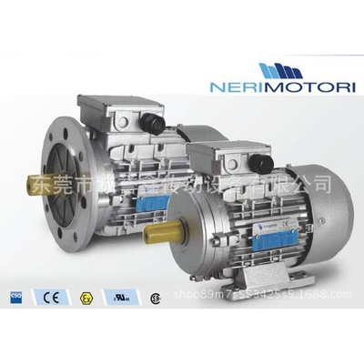 意大利铝壳电机7.5KW铝合金马达 NERI意大利电机T132M4-7.5kw现货