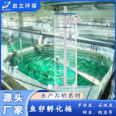 启立鱼卵孵化器水产养殖罗非鱼苗孵化设备亚克力鱼卵孵化桶