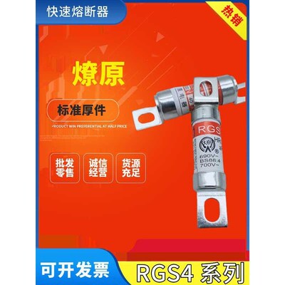 快速熔断器快熔保险丝RGS4 20A 32A  50A 63A 75A 80A 100A 125A