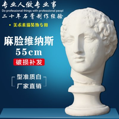 石膏像麻脸石膏教具巴特农石膏像素描 艺考静物教具模型 美术用品