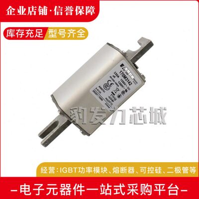 170M3071 170M3072 170M3073 170M4058 170M4059 170M4060熔断器