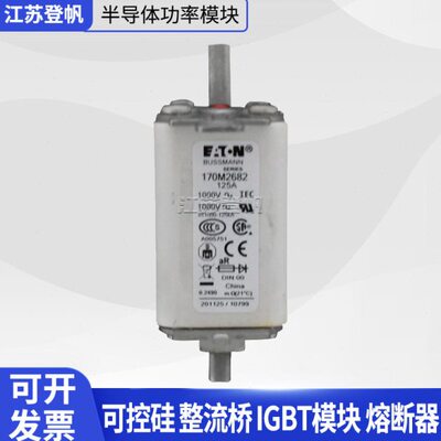 170M1571 170M2764 170M3423 170M4066 170M6712巴斯曼熔断器现货