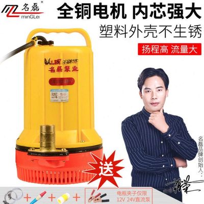 48V24V12V直流潜水泵 塑料外壳电动车水泵 浇菜地灌溉抗旱抽水机