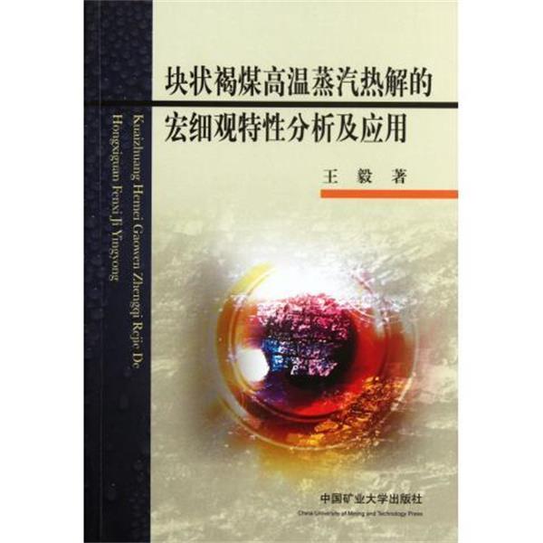 【正版书籍】 职业卫生技术服务机构专业技术人员培训考试教程:职业病危害因素检测 中国安全生产科学研究院 中国矿业大学出版社