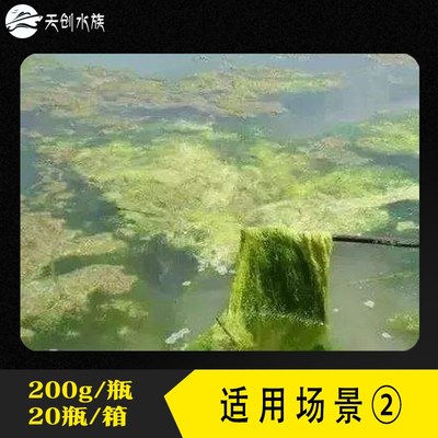 龙虾塘蟹塘杀钢毛藻水产养殖刚毛藻净杀青苔丝状藻水青苔泥皮绿藻