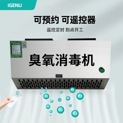 IG壁挂式臭氧发生器垃圾房除臭设备空气净化食品厂车间臭氧消毒机