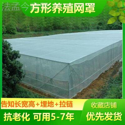 养FCZ殖蚂蚱专用网虫纱网布马加蜂胡蝗蜂丝网塑料网尼龙网厚